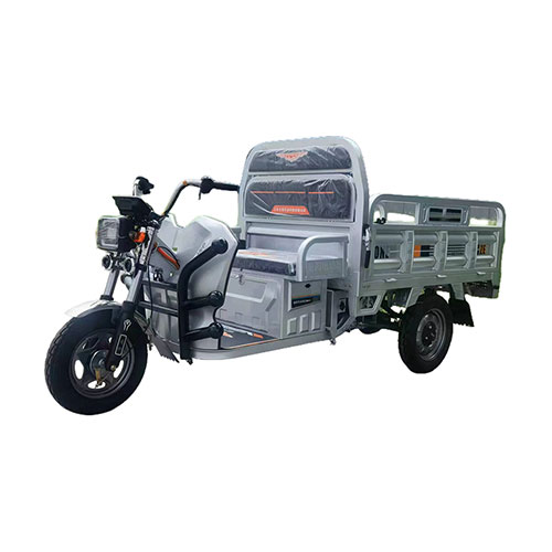 800-2000W Motor Electric 3-Wheel Cargo Loader-Electric Tricycle-Premium ...